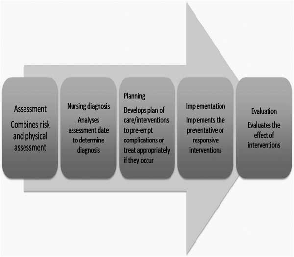 Patient Risk Assessment in the PACU: An Essential Element in Clinical ...