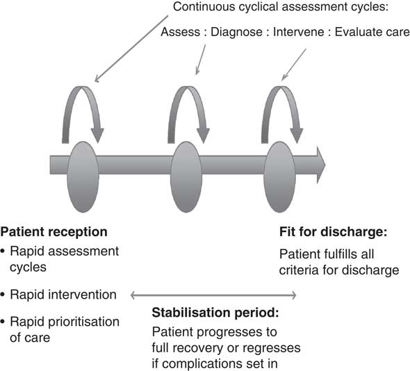 Patient Risk Assessment in the PACU: An Essential Element in Clinical ...