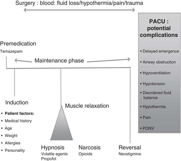 Patient Risk Assessment in the PACU: An Essential Element in Clinical ...