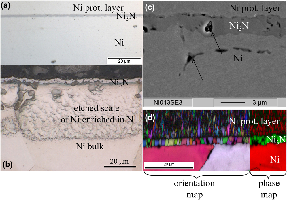 Ni3N compound layers produced by gaseous nitriding of nickel substrates ...