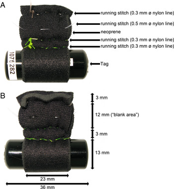 A method for the external attachment of acoustic tags on sea stars ...