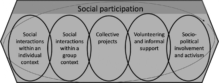 On the track of evaluated programmes targeting the social participation ...