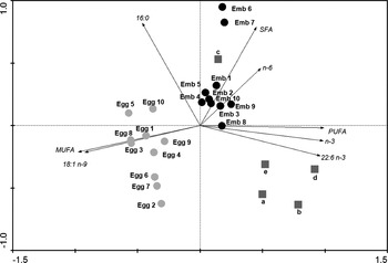 Reproductive strategy of the female deep-water shark birdbeak dogfish ...