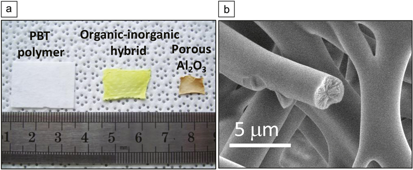 Progress and future directions for atomic layer deposition and ALD ...