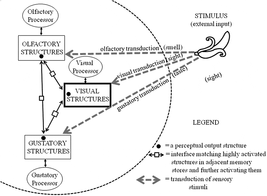INPUT, INTAKE, AND CONSCIOUSNESS | Studies in Second Language ...