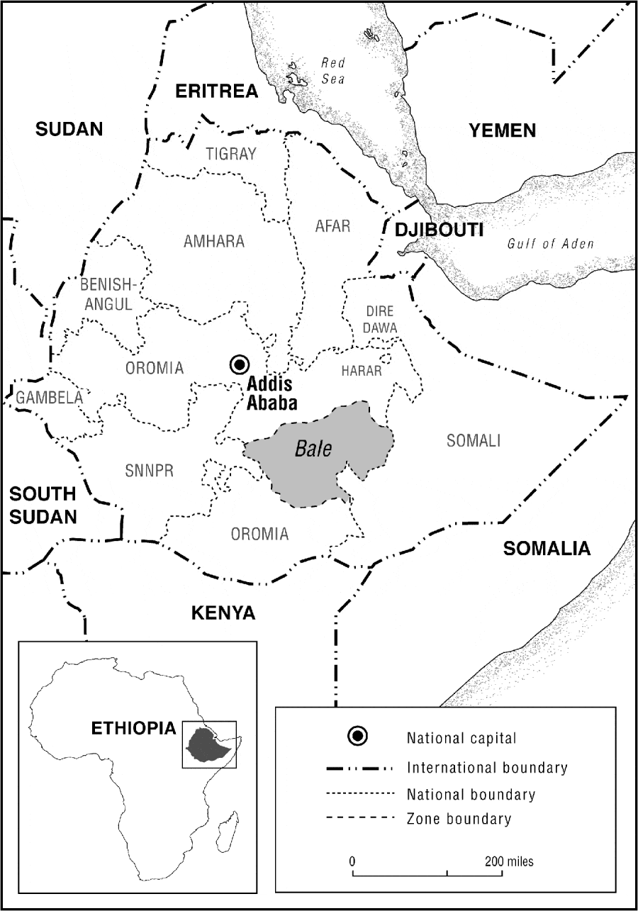 LOCAL REFORMERS AND THE SEARCH FOR CHANGE: THE EMERGENCE OF SALAFISM IN ...