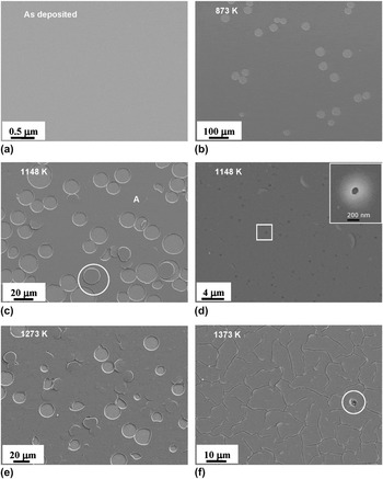Thermally induced damages of PECVD SiNx thin films | Journal of ...