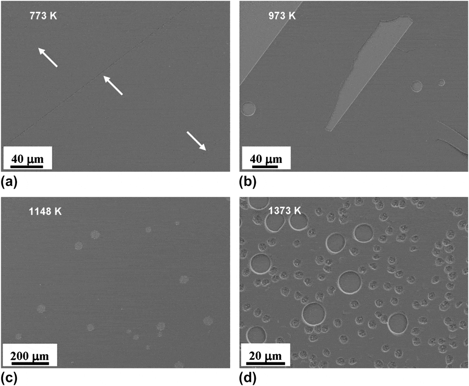 Thermally induced damages of PECVD SiNx thin films | Journal of ...