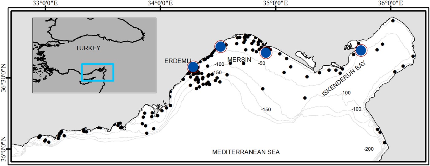 First record of Indo-Pacific Indian scad fish, Decapterus russelli, on ...