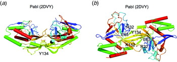 Nucleases: diversity of structure, function and mechanism | Quarterly ...