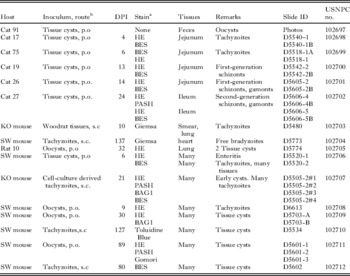 Besnoitia neotomofelis n. sp. (Protozoa: Apicomplexa) from the southern ...