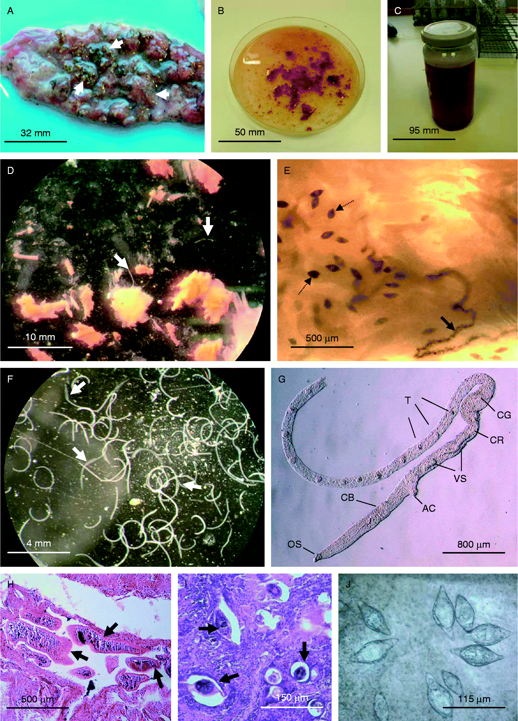 Methodical approaches in the identification of areas with a potential ...