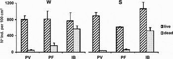 Population structure of the invasive bivalve Isognomon bicolor on rocky ...