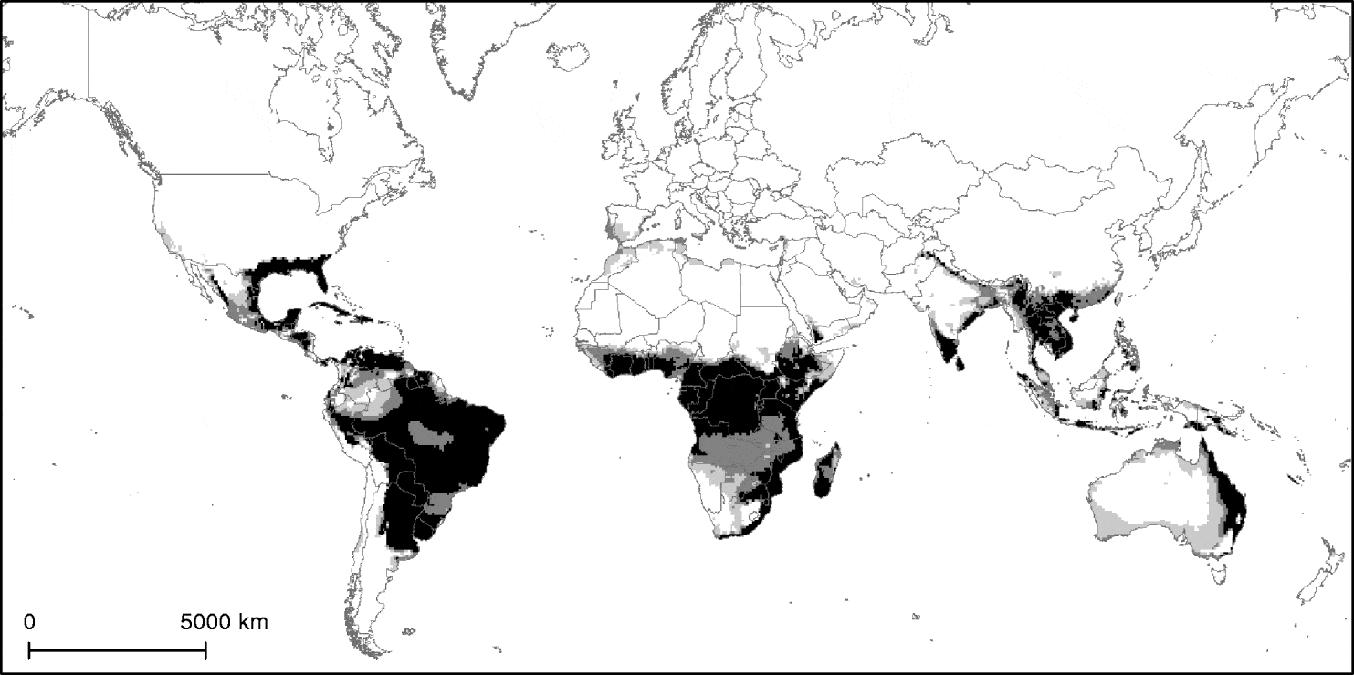 The current and future potential geographical distribution of the ...