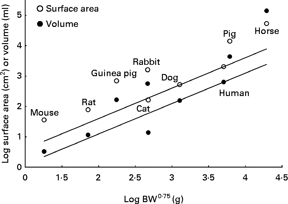 Ileal and faecal protein digestibility measurement in humans and other ...