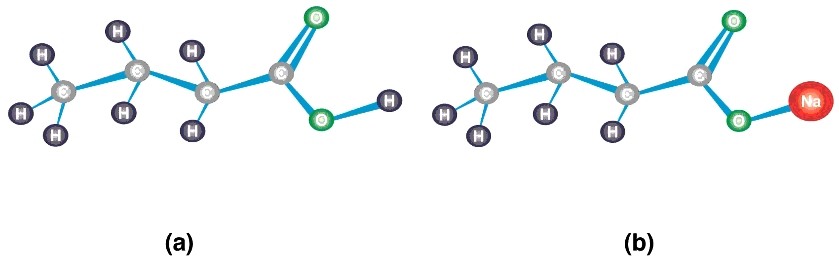 Sodium butyrate in chicken nutrition: the dynamics of performance, gut ...