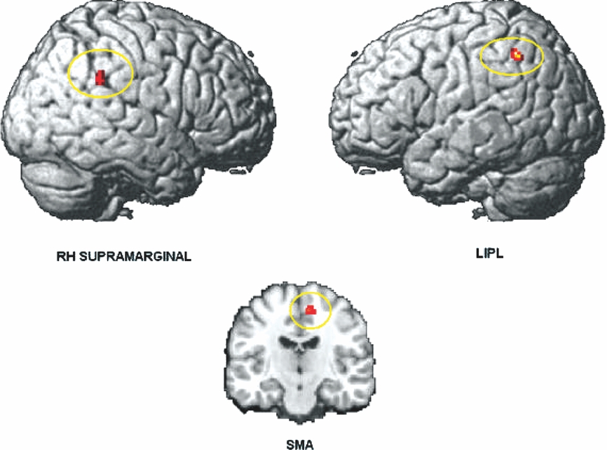 Japanese and English sentence reading comprehension and writing systems ...