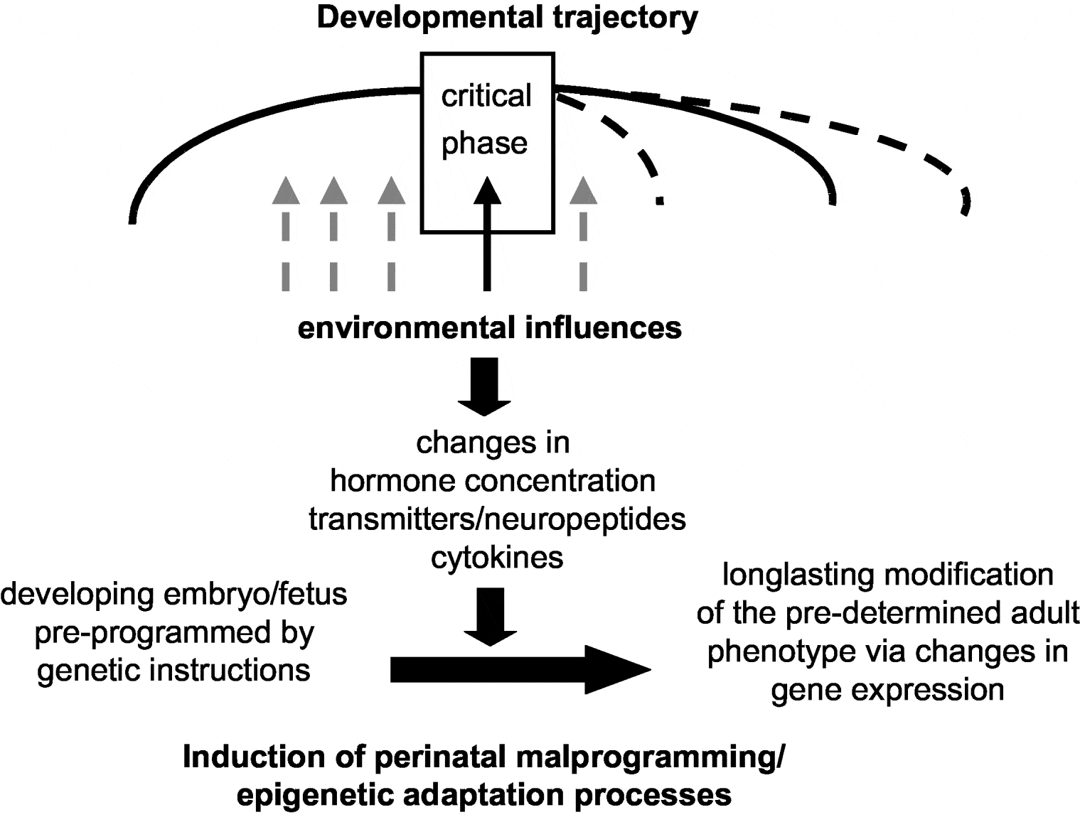 Imprinting and critical periods in early development | World's Poultry ...