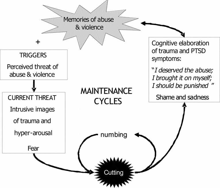 The Science and Practice of Case Conceptualization | Behavioural and ...