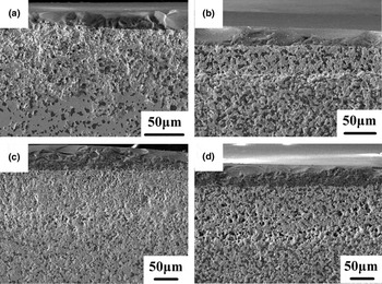 Structure evolution of ZrB2–SiC during the oxidation in air | Journal ...