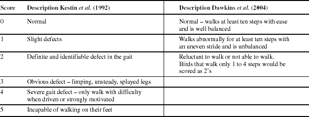 Key health and welfare indicators for broiler production | World's ...