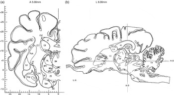 The pig model in brain imaging and neurosurgery | animal | Cambridge Core