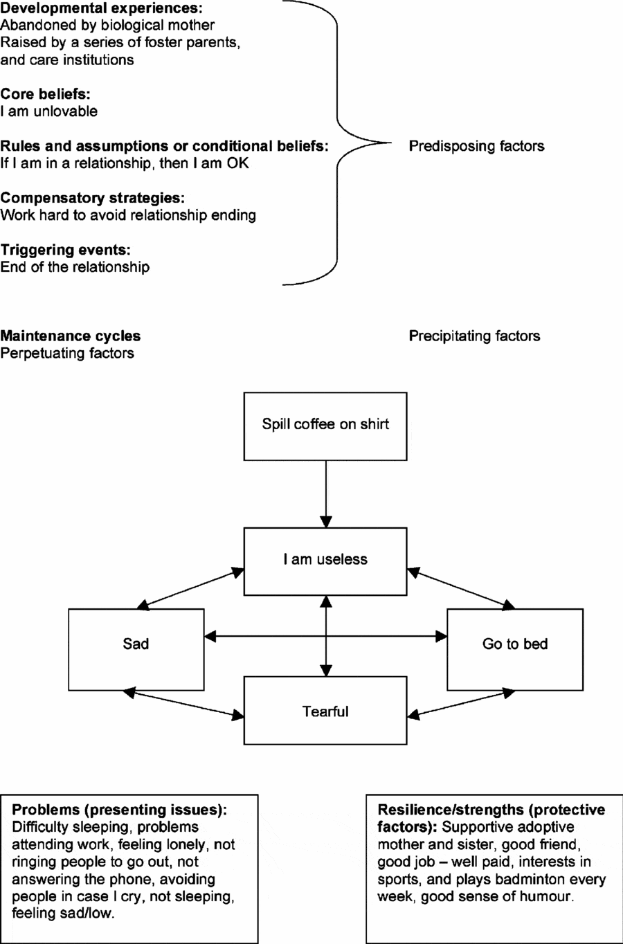 A literature review exploring the efficacy of case formulations in ...