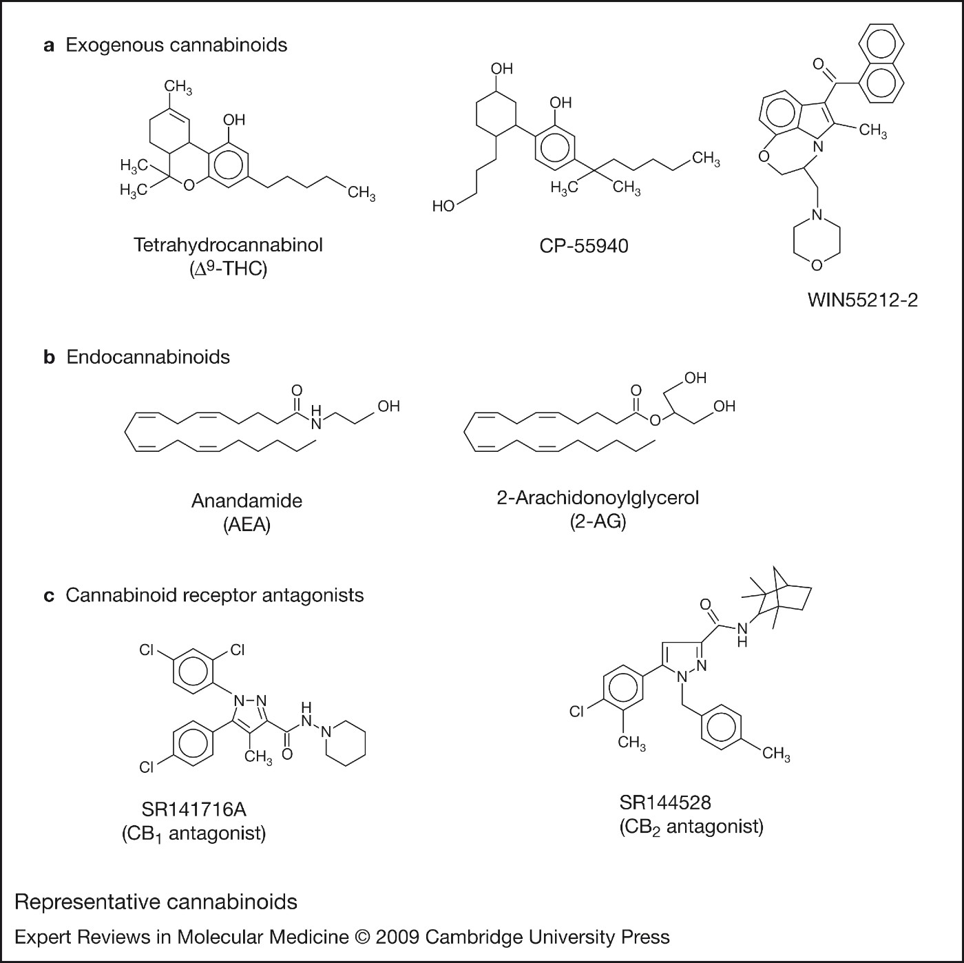 Emerging role of the cannabinoid receptor CB2 in immune regulation ...
