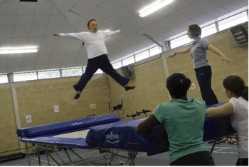 Introducing trampoline use within an acute mental health care hospital ...