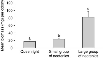 Termite colony ontogeny: supplemental data in the long-term assessment ...