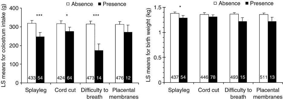 Variability of colostrum yield and colostrum intake in pigs | animal ...