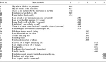 Validation of the Demoralization Scale in an Irish advanced cancer ...