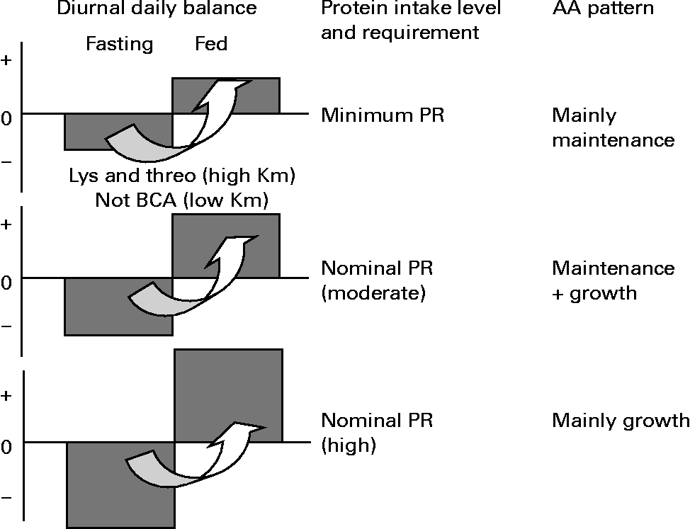 Amino acid scoring patterns for protein quality assessment | British ...
