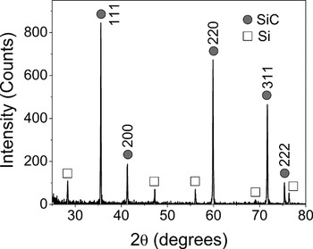Formation of dense silicon carbide by liquid silicon infiltration of ...