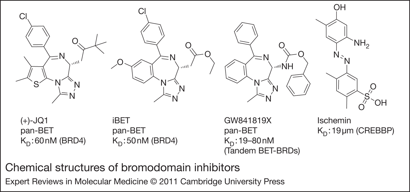 Bromodomains as therapeutic targets | Expert Reviews in Molecular ...