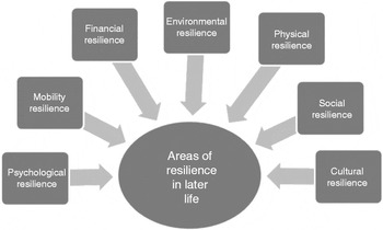 Resilience: thoughts on the value of the concept for critical ...