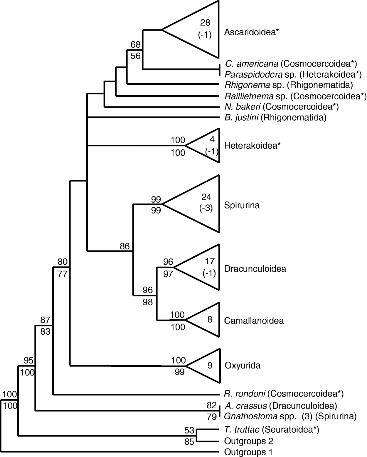 Molecular phylogeny of clade III nematodes reveals multiple origins of ...