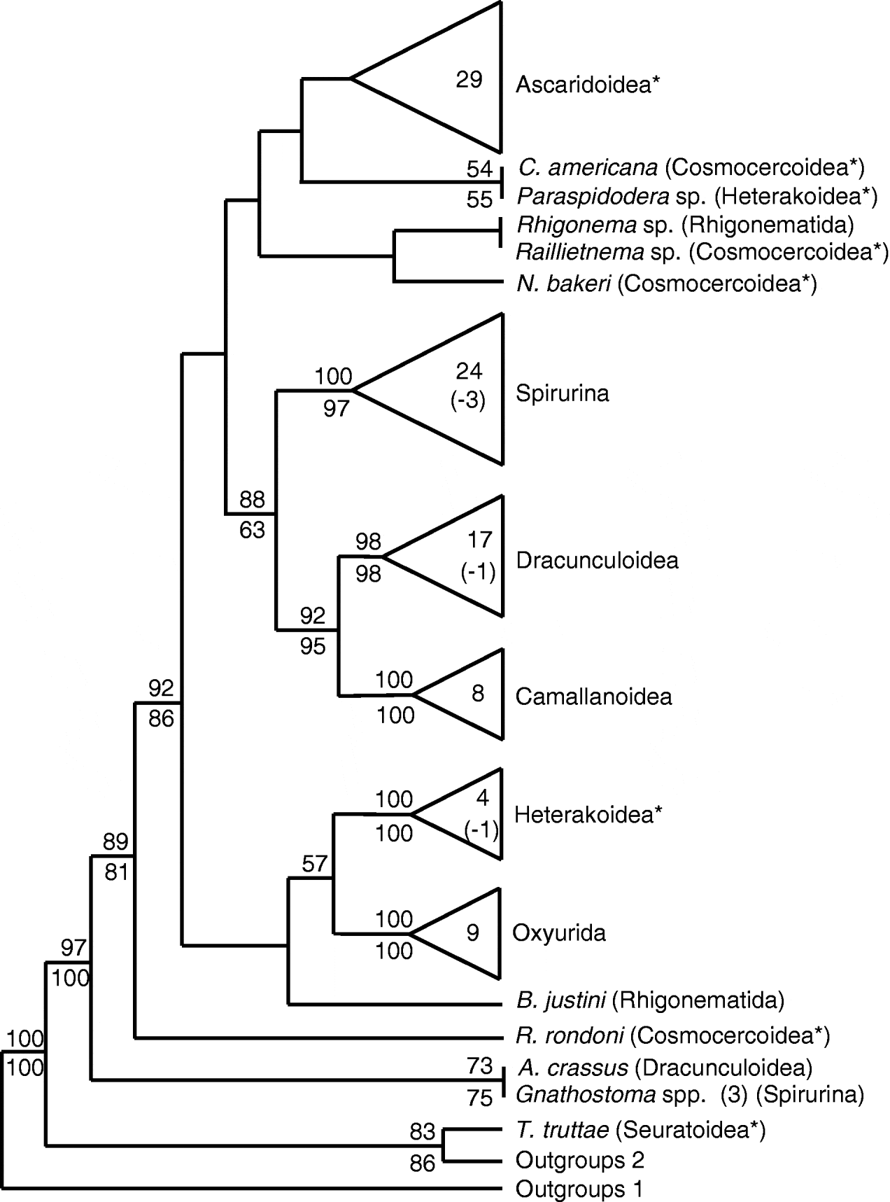 Molecular phylogeny of clade III nematodes reveals multiple origins of ...