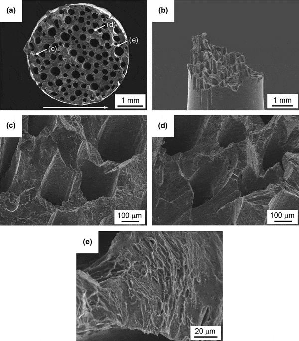 Effects of anisotropic pore structure and fiber texture on fatigue ...