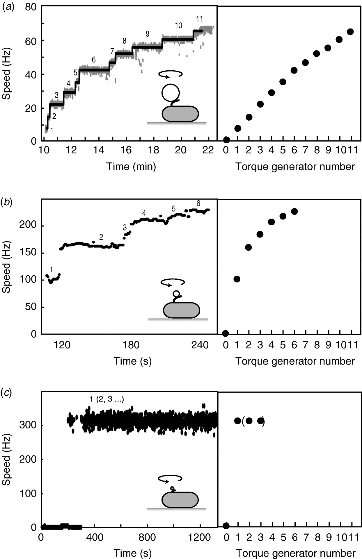 Bacterial flagellar motor | Quarterly Reviews of Biophysics | Cambridge ...