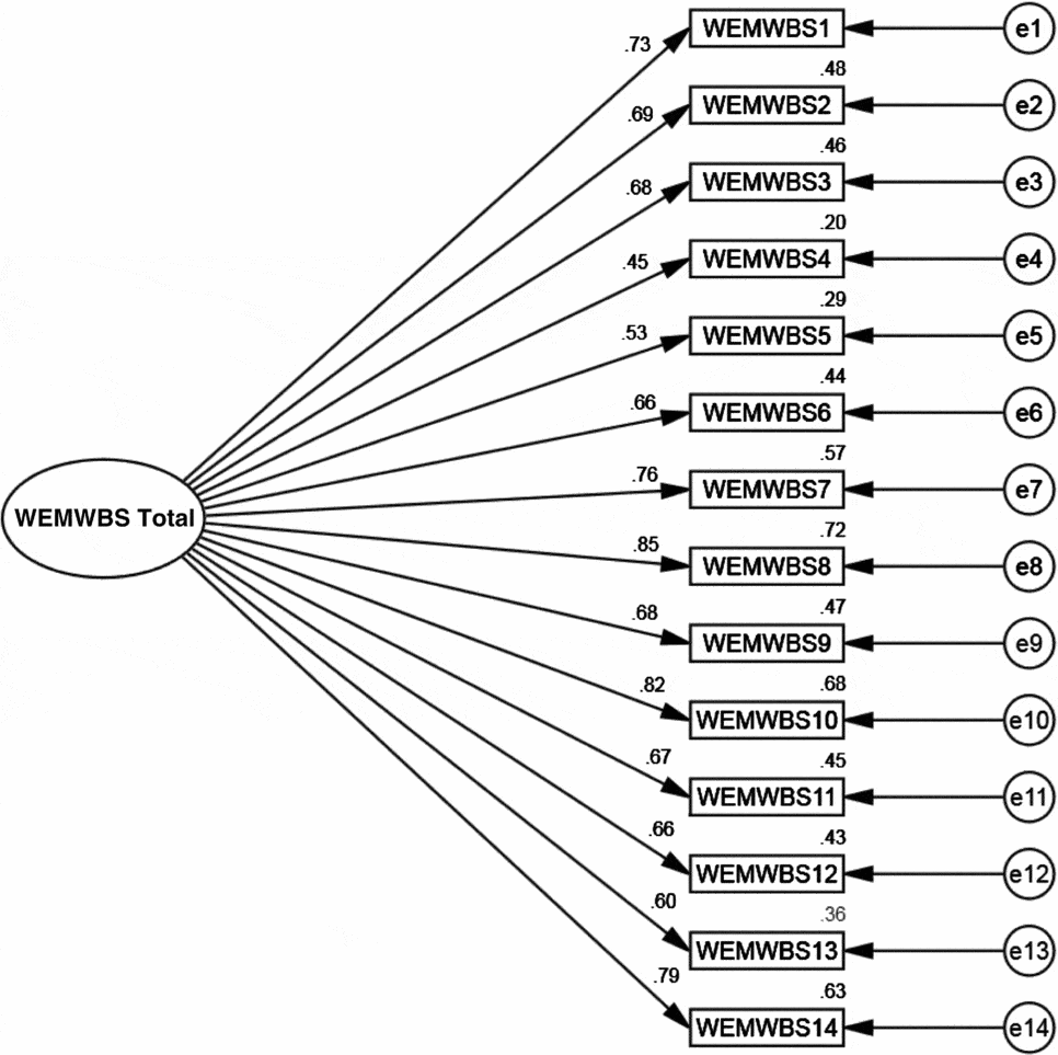 Positive Mental Well-being in Australian Adolescents: Evaluating the ...