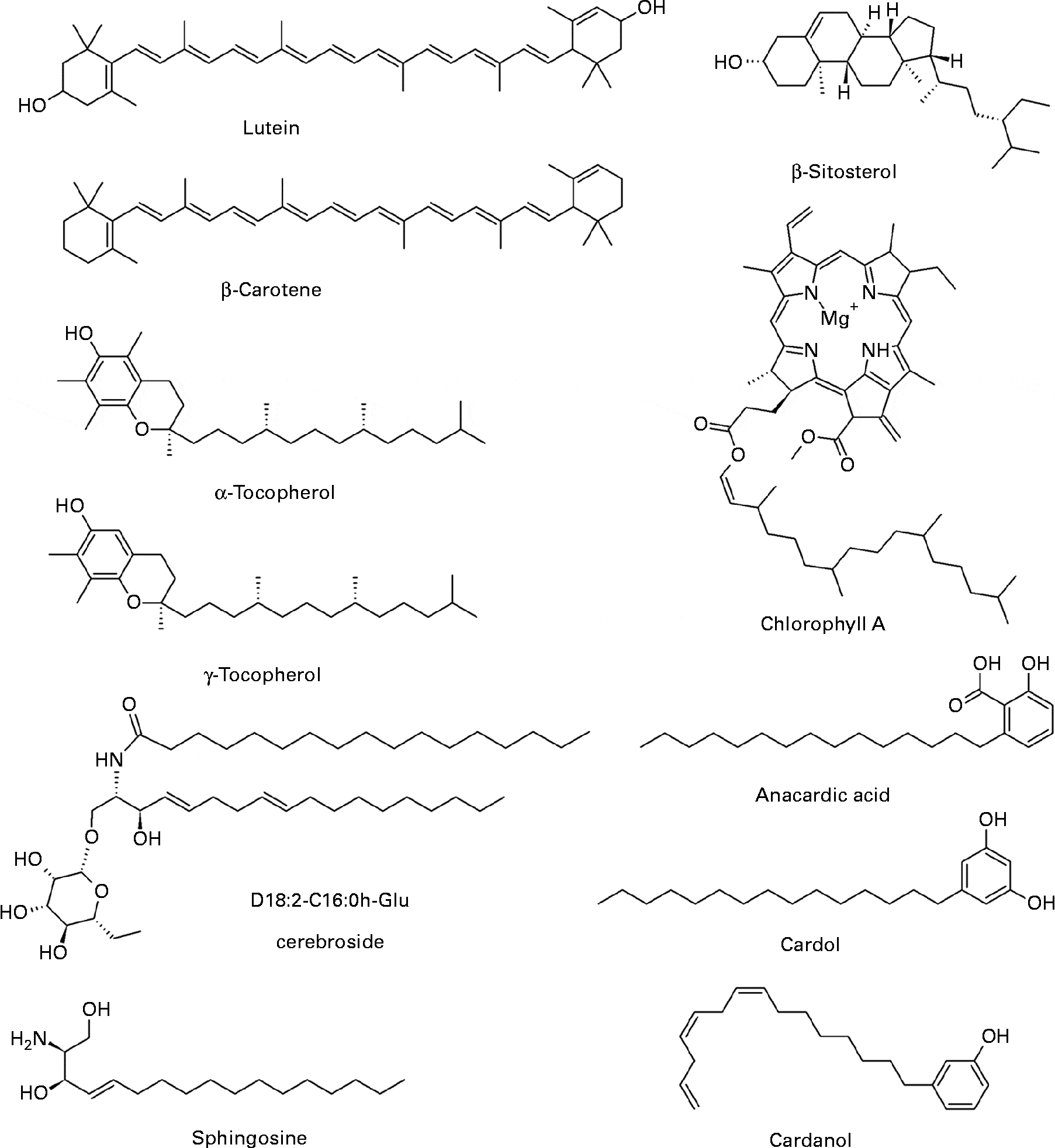 Review of nut phytochemicals, fat-soluble bioactives, antioxidant ...