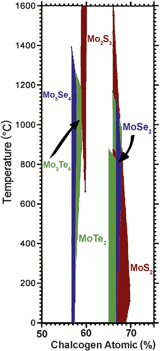 Two-dimensional layered transition-metal dichalcogenides for versatile ...