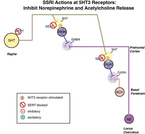 Modes and nodes explain the mechanism of action of vortioxetine, a ...