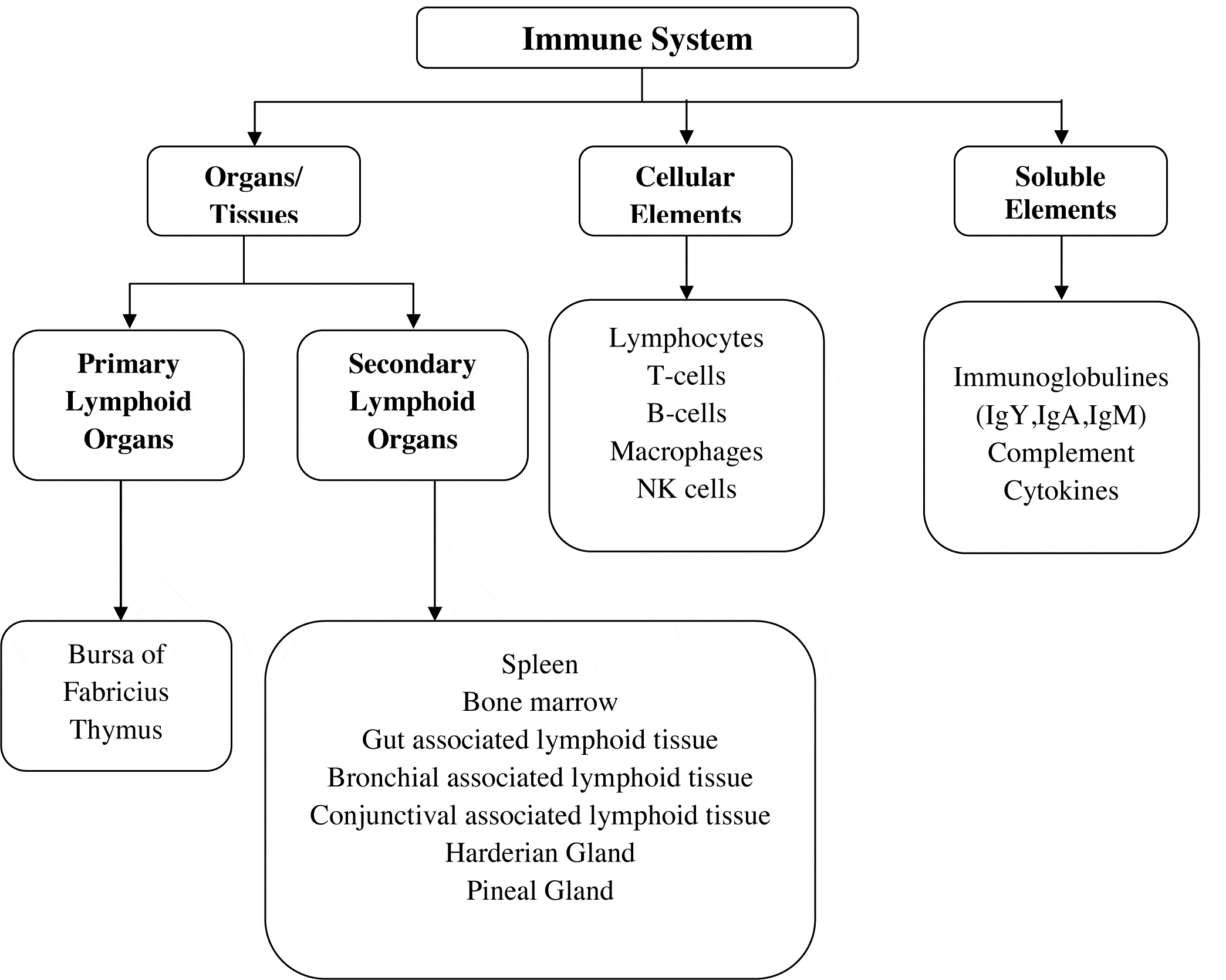 Early post hatch nutrition on immune system development and function in ...