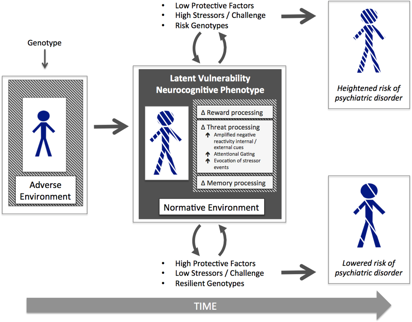 The theory of latent vulnerability: Reconceptualizing the link between ...