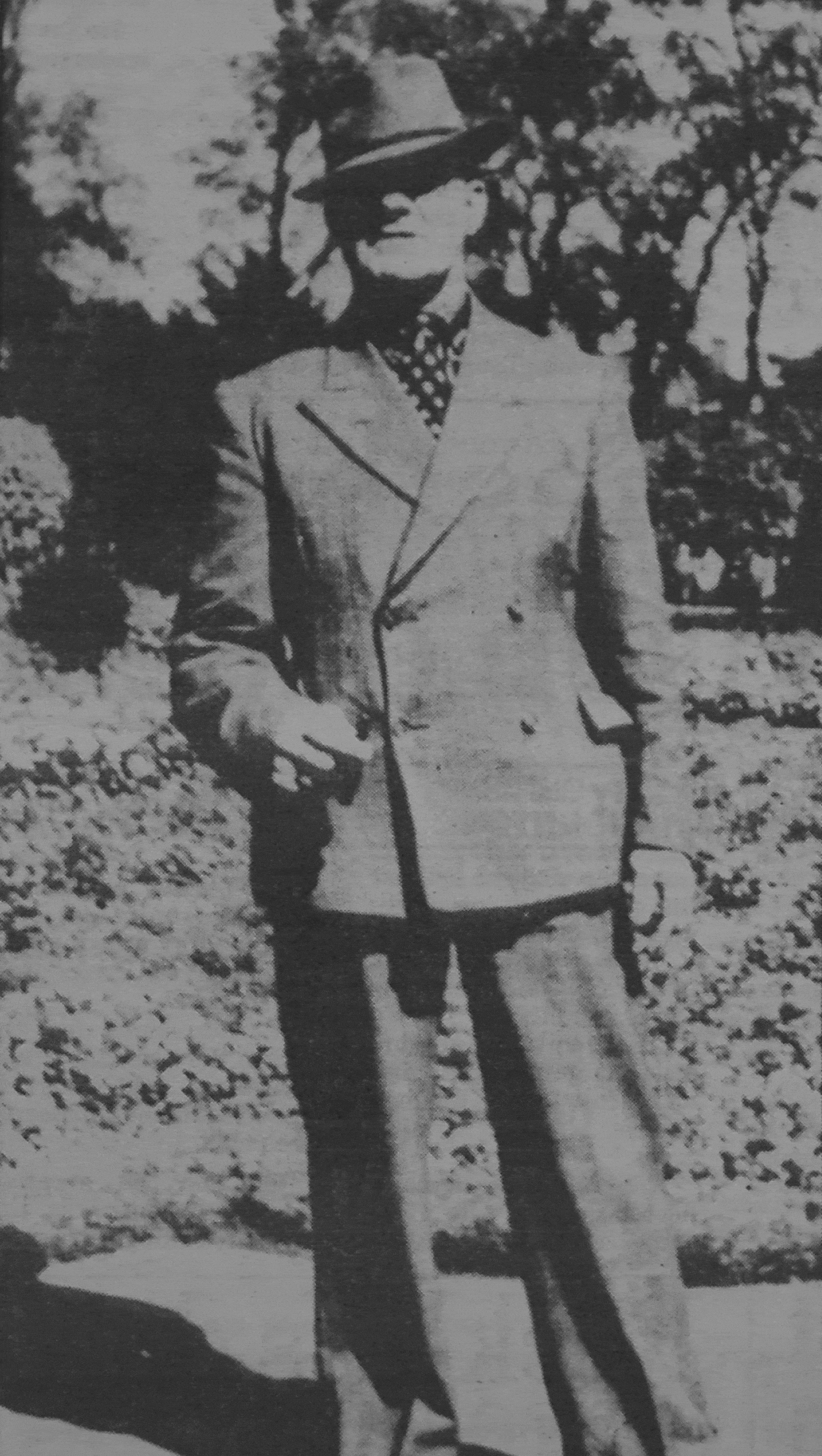 Violence and Social Memory in Twentieth-Century Belfast: Stories of ...