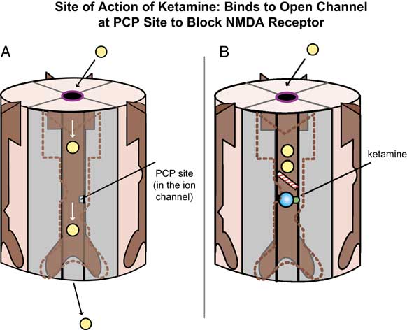 Mechanism of action of ketamine | CNS Spectrums | Cambridge Core