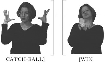 Visual intonation in two sign languages* | Phonology | Cambridge Core