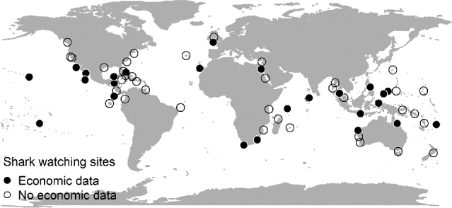 Global economic value of shark ecotourism: implications for ...